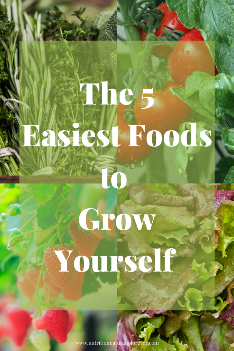 The 5 Easiest Foods to Grow Yourself - Nutrition Naturally Forever The 5 Easiest Foods to Grow Yourself - Nutrition Naturally Forever
